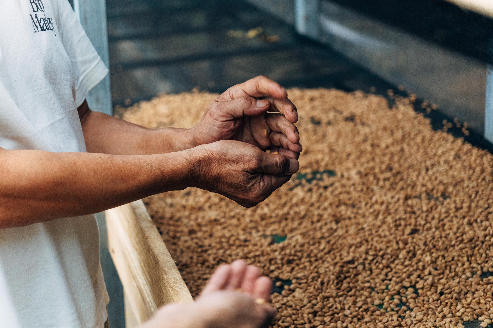 Helping Hand – Cebu Earthquake Relief – Good Cup Coffee